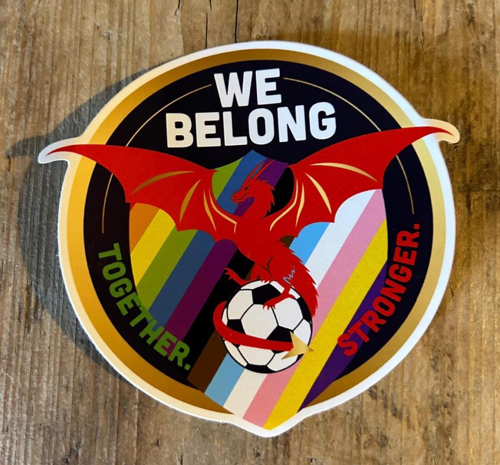 We Belong Vinyl Sticker | Football v Homophobia